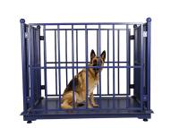 China Dynamic ODM 100Kg Weighing Scale For Live Pigs for sale