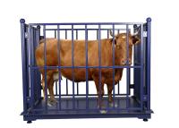 China Anti Rust 3000KG Digital Livestock Scales With Fence for sale