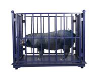 China Anti Rust 3000KG Digital Livestock Scales With Fence for sale