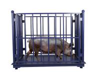 China Anti Rust 3000KG Digital Livestock Scales With Fence for sale