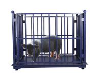 China KELI LCD Cattle Weighing Scales Carbon Steel With Locks for sale