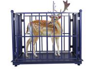 China KELI LCD Cattle Weighing Scales Carbon Steel With Locks for sale