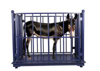 China Portable 3T Livestock Weighing Scales With Load Cell for sale