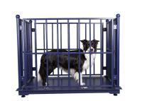 China LCD Digital Sheep Weighing Scales , 5T Weight Scale For Cows for sale