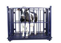 China LCD Digital Sheep Weighing Scales , 5T Weight Scale For Cows for sale