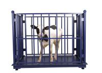 China LCD Electronic Cattle Weighing Scales for sale