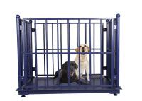 China 500kg Livestock Scales For Cattle for sale
