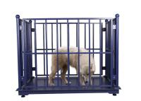 China 3000KG ODM Cattle Weighing Scales Carbon Steel for sale