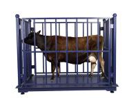 China Digital OEM Cattle Weighing Scales 1.2*1.5*1m Industrial for sale