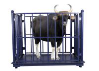China LCD OIML Cattle Weighing Scales Anti Corrosion With Locks for sale