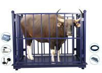 China Vet LED KELI Electronic Cattle Weighing Scales Bluetooth for sale