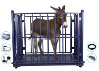 China 2*3M  Digital 10T Cattle Weighing Scales With Frame for sale