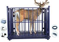 China Digital Zemic LCD Cattle Weighing Scales Stainless Steel for sale