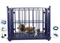China 2*3M  Digital 10T Cattle Weighing Scales With Frame for sale