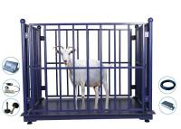China 3000Kg Portable Cattle Scales , RS232 Electronic Sheep Scales for sale