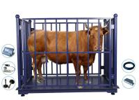 China LED Portable Cow Weight Machine , 1000Kg Portable Animal Scales for sale