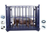 China LED Portable Cow Weight Machine , 1000Kg Portable Animal Scales for sale