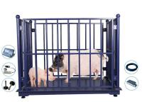 China LED Portable Cow Weight Machine , 1000Kg Portable Animal Scales for sale