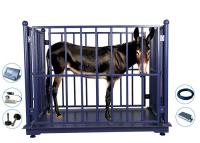 China Digital Zemic LCD Cattle Weighing Scales Stainless Steel for sale