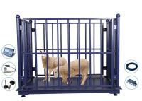 China 2M Livestock Weighing Scales , 2000Kg Cow Weight Machine for sale
