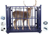 China ZEMIC 5000KG Horse Weighing Scales Dustproof With Locks for sale