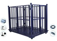 China 2M Livestock Weighing Scales , 5T Digital Livestock Scales for sale
