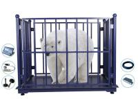 China 2M Livestock Weighing Scales , 5T Digital Livestock Scales for sale