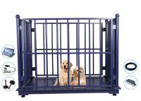 China 2M Livestock Weighing Scales , 5T Digital Livestock Scales for sale