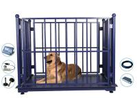 China LED OEM Cattle Weighing Scales Industrial Blue For Farm for sale