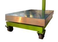 China 250kg Tcs System Bench Platform Scales Electronic for sale