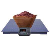 China 1T Heavy Duty Floor Scales Electronic , 2M Heavy Weight Weighing Machine for sale