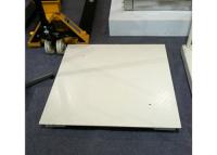 China 0.5kg Division Warehouse Weighing Scale 3T For Animal for sale