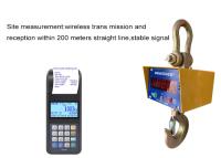 China OCS Digital LED Display Hanging Crane Scale 10 Ton Remote Control for sale