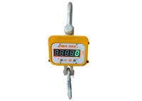 China 1000kg Capacity Electronic Digital Crane Scale Rugged Remote Controled for sale