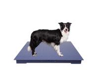 China Carbon Steel Plate Heavy Duty Platform Floor Scale Large 330lb 150kg Capacity for sale
