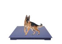 China Heavy Duty Industrial Weighing Scales With Chequer Plate And Load Cells for sale