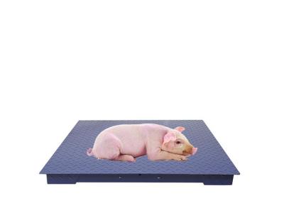 China Carbon Steel Plate Heavy Duty Industrial Weighing Scales With Adjustable Foot for sale