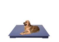 China High Precision Sensor Heavy Duty Floor Scales With Tread Plate for sale
