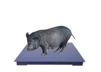 China Heavy Duty Floor Scales High Precision Portable Floor Scales Powder Coated for sale