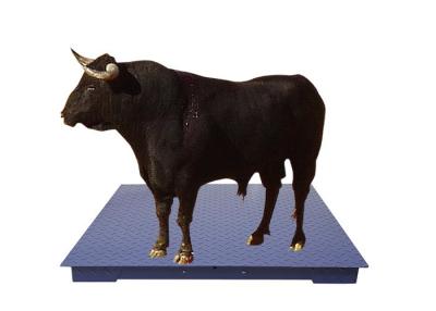China Stainless Steel Indicator Industrial Floor Pallet Scale For Heavy Duty Weighing Shipping for sale