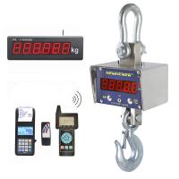 China Stainless Steel Hanging Crane Scale 300kg 500kg A12e Indicator for sale