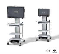 China 22 Inch Monitor Full HD Endoscope Camera 80W LED Cold Light Source BTH-9122H for sale