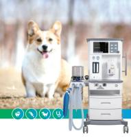 China DM6A Veterinary Anesthesia System For Dog Cat Small Animal for sale