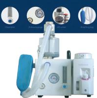 China DM6D Veterinary Anesthesia Ventilator Small Animal Anesthesia System for sale