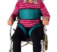 China Green Breathable Mesh Wheelchair Seatbelt with Padded Sponge and Adjustable Elasticity for sale