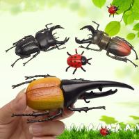 China OEM factory custom Lifelike Model Simulation Insect Toy Nursery Teaching Aids Joke Toys for sale