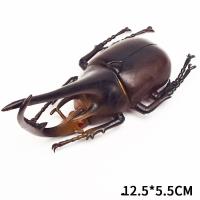 China OEM factory custom Lifelike Model Simulation Insect Toy Nursery Teaching Aids Joke Toys for sale