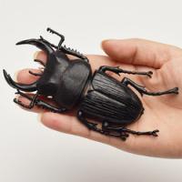 China OEM factory custom Lifelike Model Simulation Insect Toy Nursery Teaching Aids Joke Toys for sale