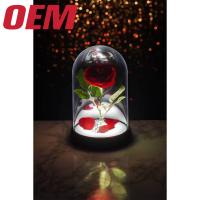 China OEM Light-Up Baby Toys Make Light With Music And Sound for sale