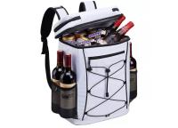 China Camping Hiking Fishing 100% Waterproof Insulated Backpack Cooler For Lunch Or Drink for sale